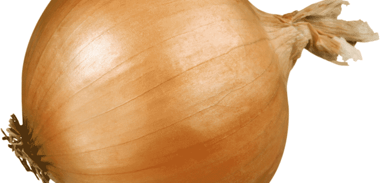 Hagyma termesztése és története és hasznos - 1 | Női Net Po